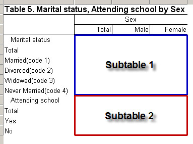 Create Multiple Subtables - CSPro User's Guide